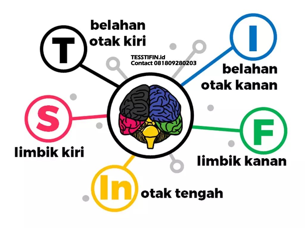 Mengenal Konsep STIFIn - STIFIn Tes 081809280203